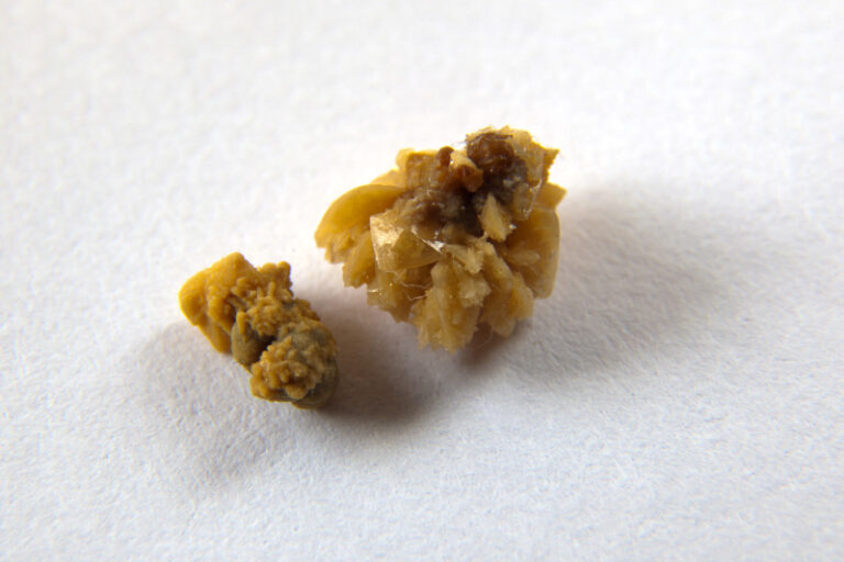 Stien Pet Line - Mangime complementare - Teknofarma